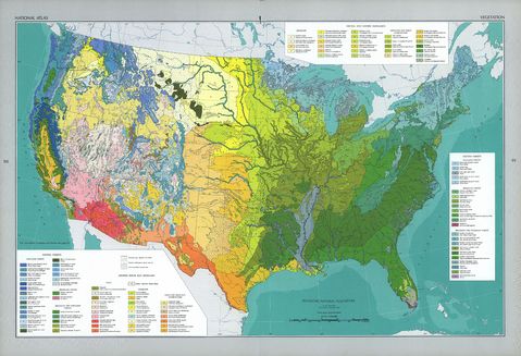 United States Vegetation | Gifex
