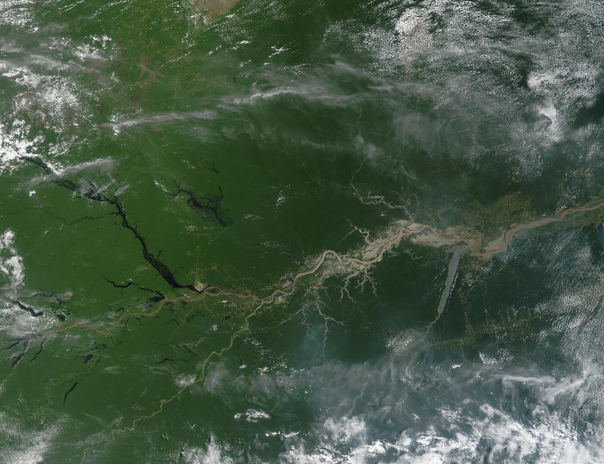 Satellite Image, Photo of the Amazon River, Brazil