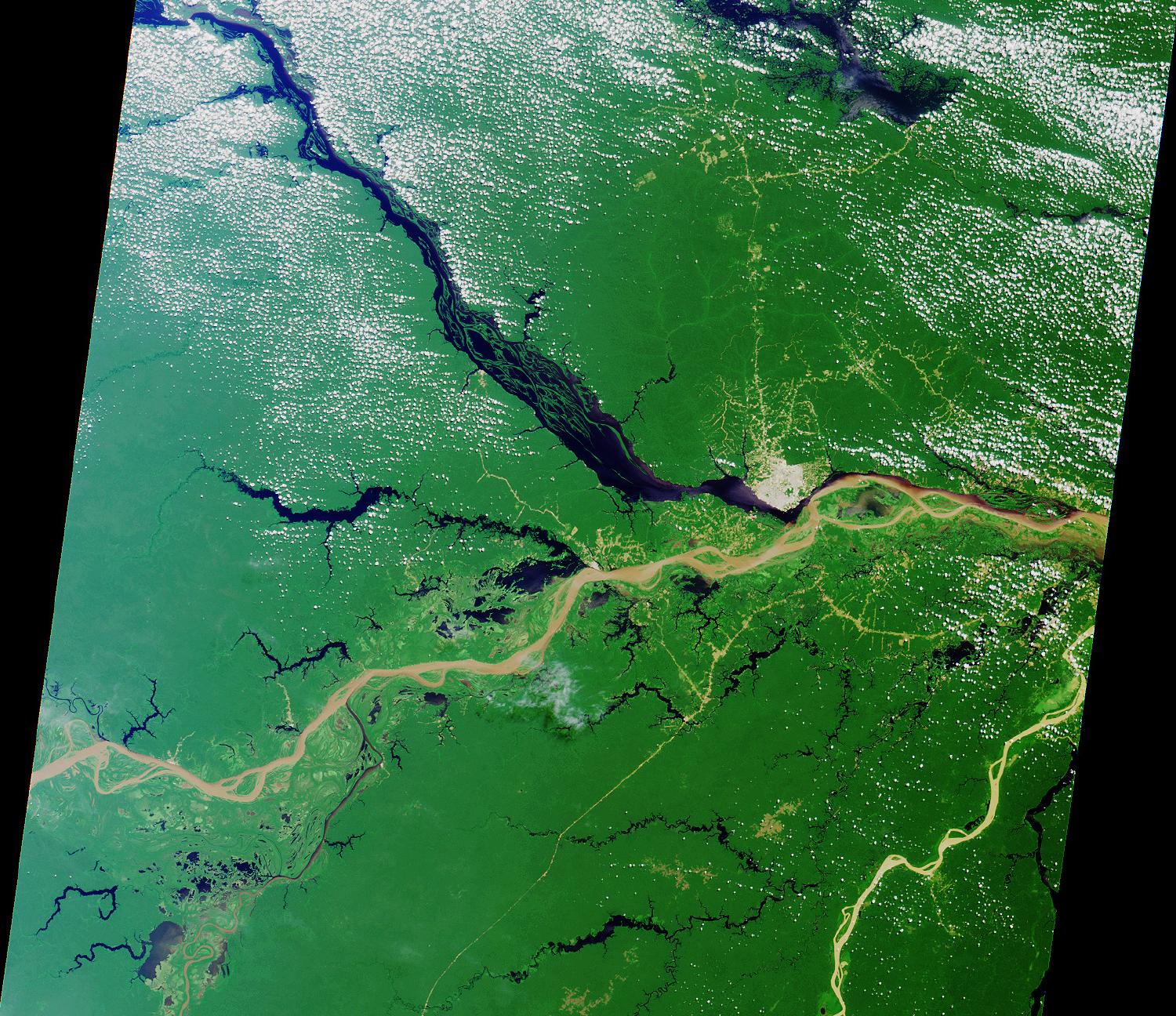 Satellite Image, Photo of the Convergence (Rios Solimoes and Negro) forming the Amazon River, Brazil